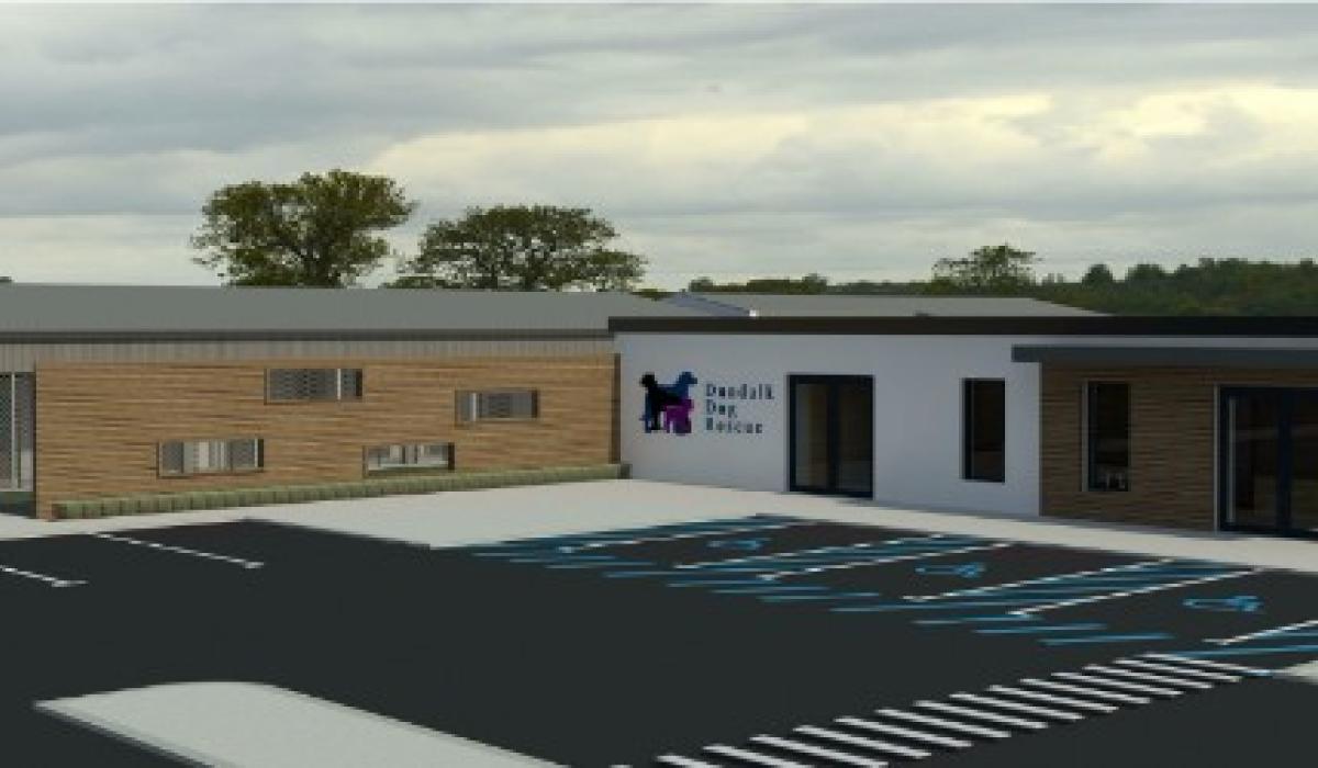 Dundalk Dog Rescue Annual Sponsored Walk this Sunday - Louth Live