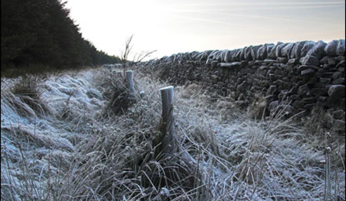 Friday's weather forecast for Louth - Louth Live