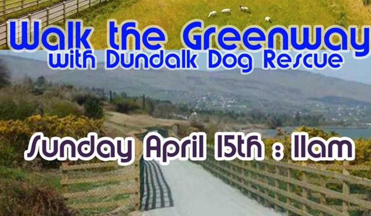 Dundalk Dog Rescue host pet-friendly charity walk on Carlingford ...
