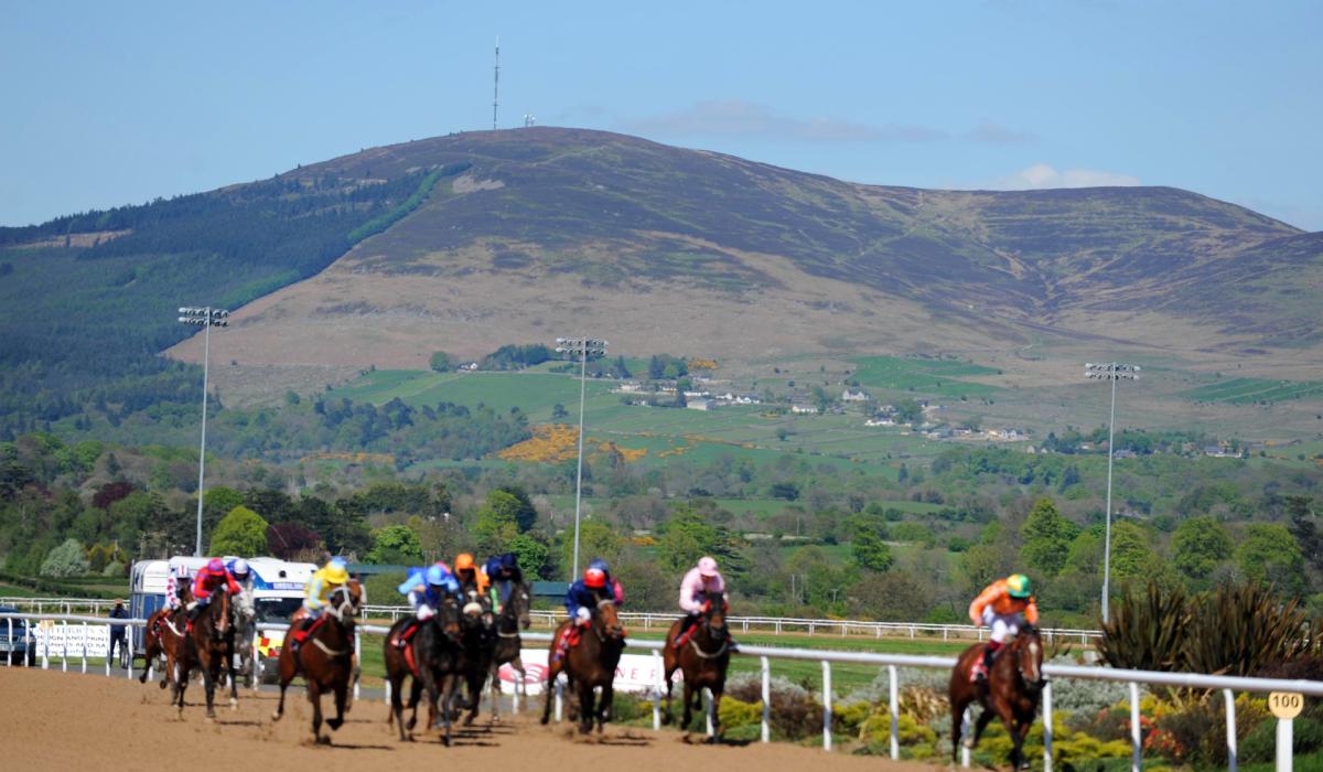 Two 40/1 winners on unpredictable night at Dundalk Stadium - Louth Live