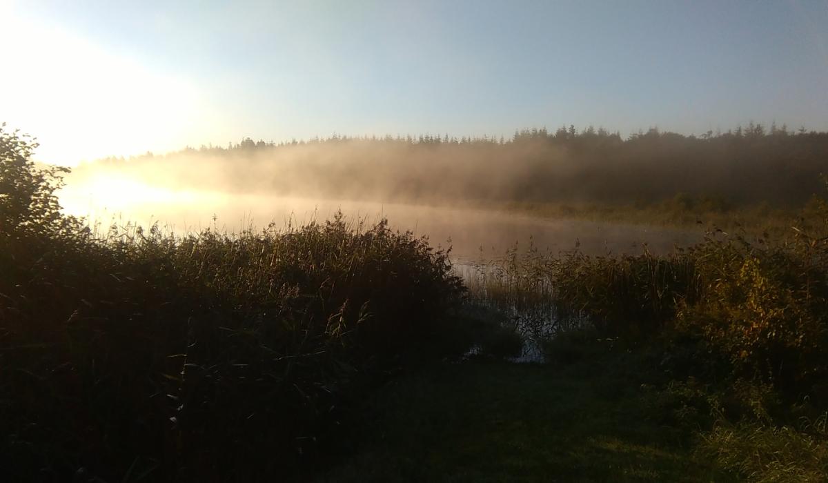 Saturday's weather forecast for Louth - Louth Live