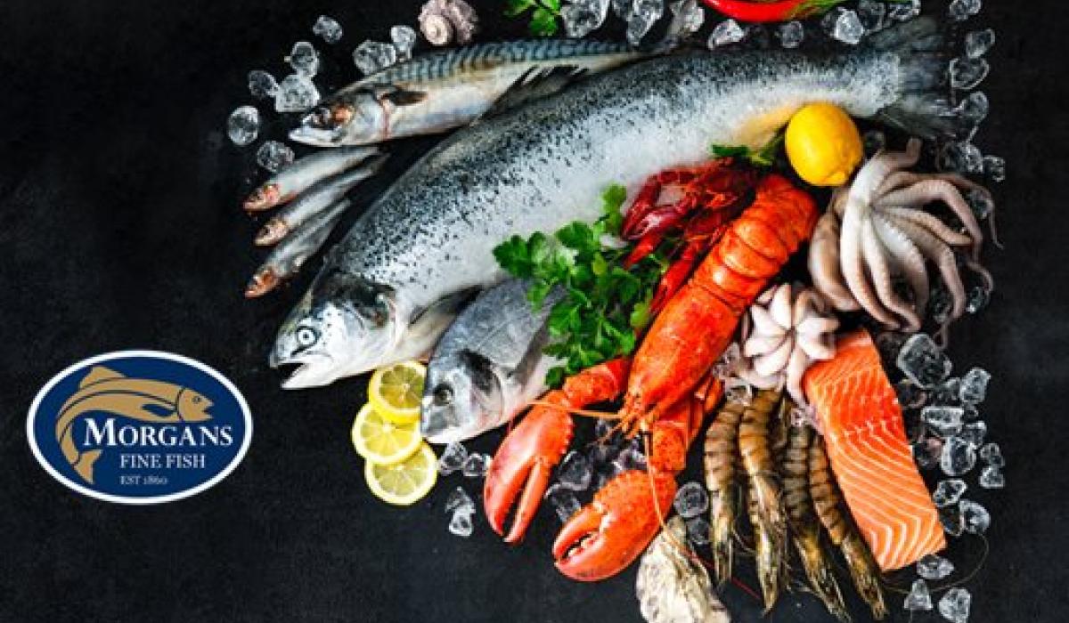 Louth business Morgans Fine Fish receive €221,250 in EU Funding - Louth ...
