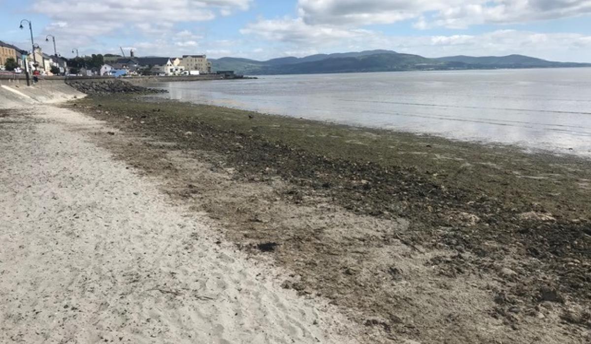 Engineers appointed to carry out design of the Dundalk, Blackrock South ...