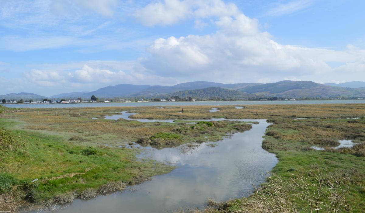 LOUTH WEATHER: 'Lots of sunshine' for week ahead - Louth Live