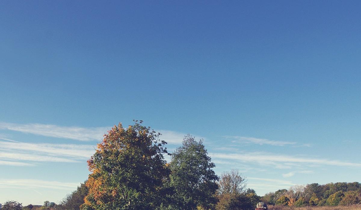 Census figures show increase in ageing population in Louth - Louth Live