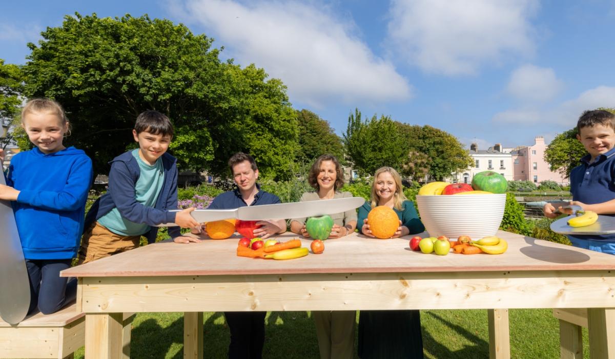 Louth DEIS Schools benefit from Tesco Stronger Starts programme - Louth ...