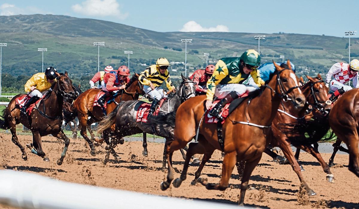 Win for Golden Twilight at Dundalk Stadium would have topped Lynch ...