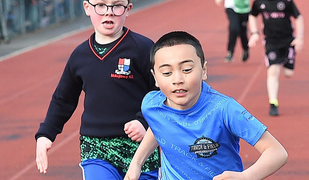 GALLERY | Cooley Credit Union Races - Page 2 of 15 - Louth Live