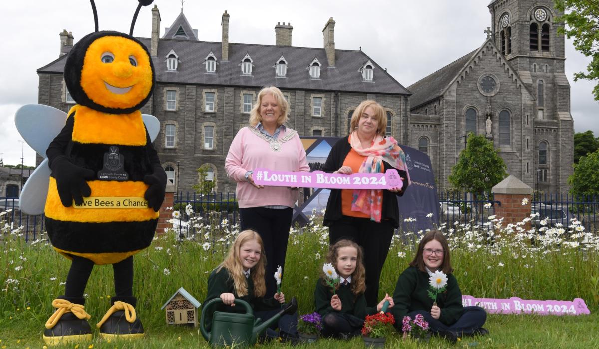 'Louth in Bloom 2024' launched - Louth Live