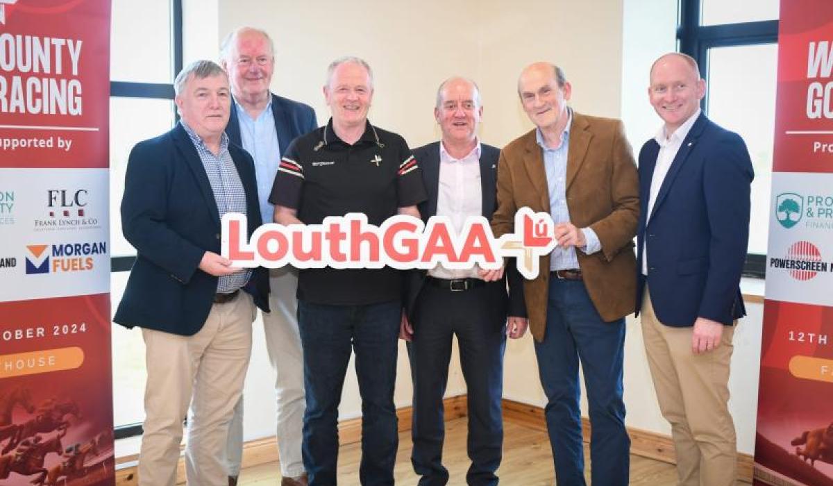 Deserved recognition for a Louth Leinster Championship-winning team ...