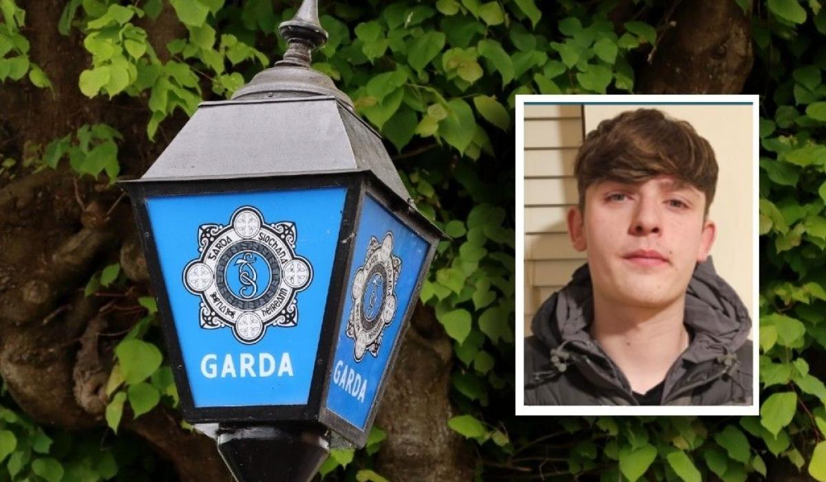Gardaí stand down search for 15-year-old Louth teen missing for almost a week - Louth Live