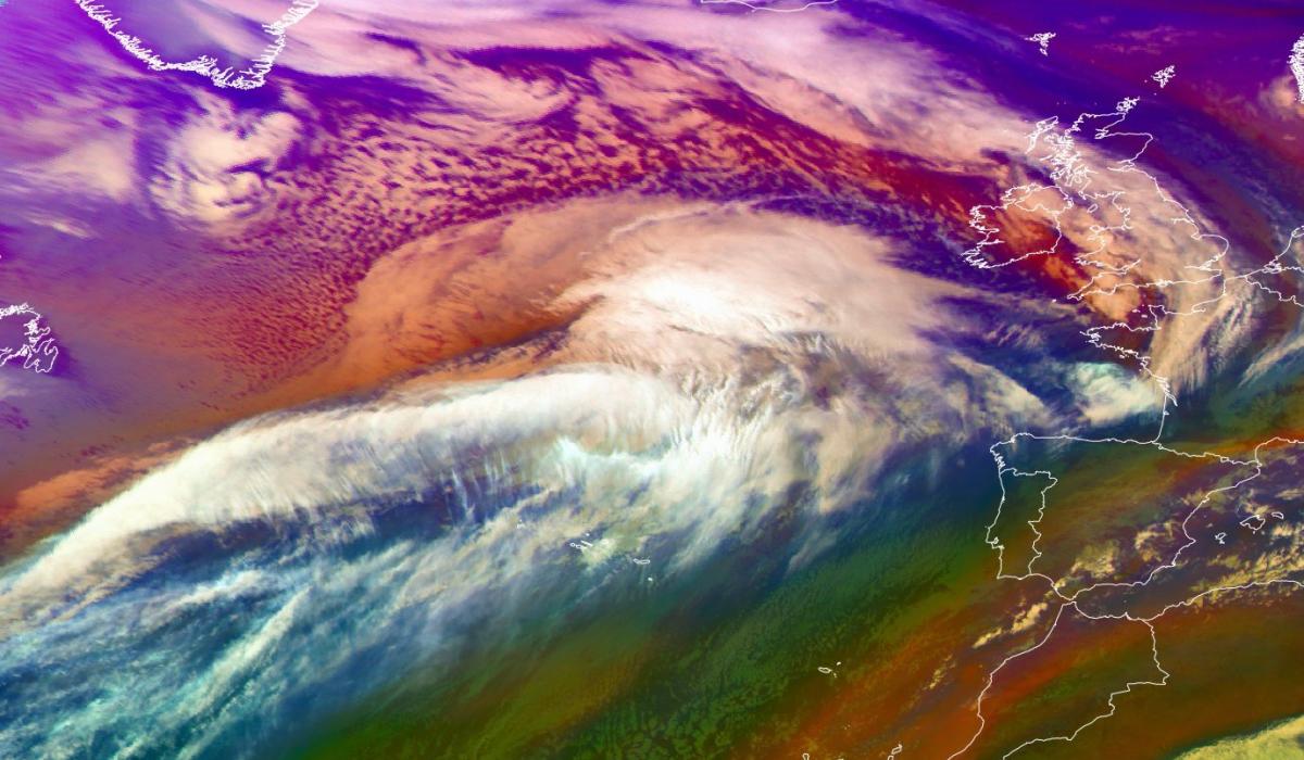 Storm Éowyn update: Thousands without power and trees down across Louth ...