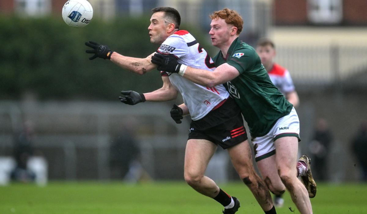Old hands contribute to Louth making winning start to league - Louth Live