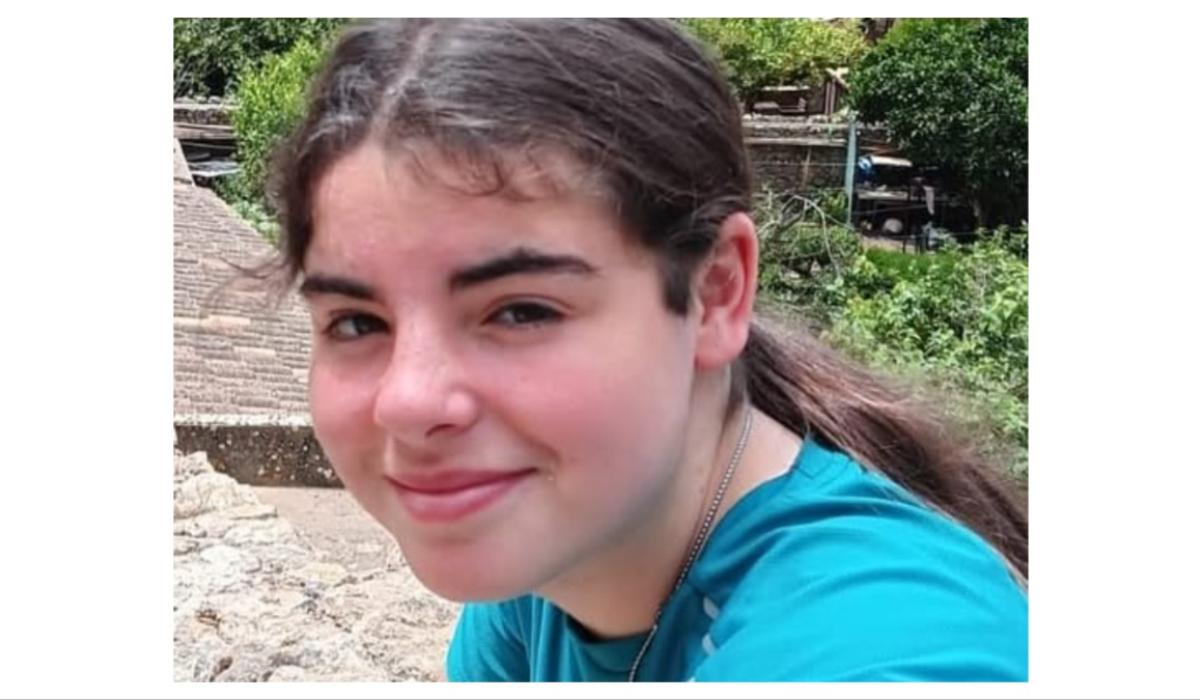 ALERT: Gardaí in urgent appeal for missing 15-year-old girl - Louth Live