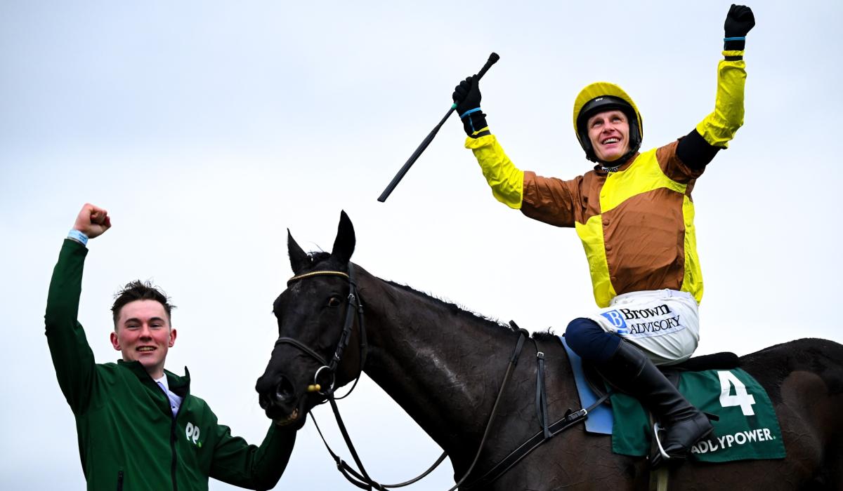 Inside Track: Racehorse ownership is a volatile business - Louth Live