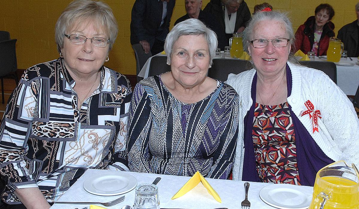 PHOTOS: Louth councillor holds St Brigid's lunch in Kilcurry - Page 1 ...