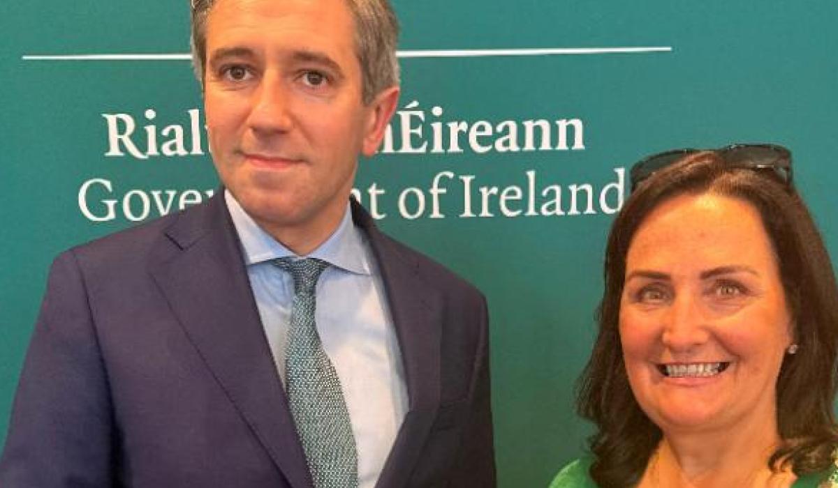 €1m for Ardee Castle will close funding shortfall says Louth councillor ...