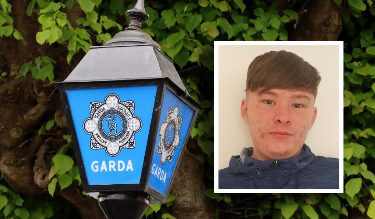 Search for teenage boy (16) missing for over a week stood down as gardaí issue update - Louth Live