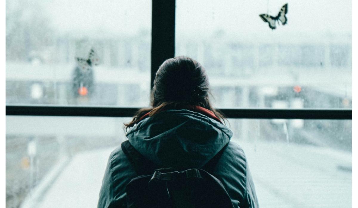 Asylum seekers in Ireland to pay significant sum for State ...