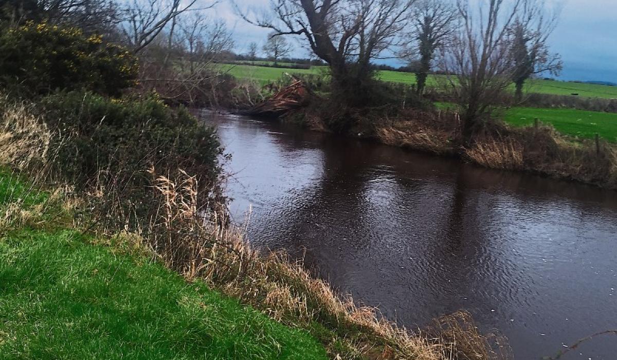 Louth ranks among worst in country regarding river water bodies ...