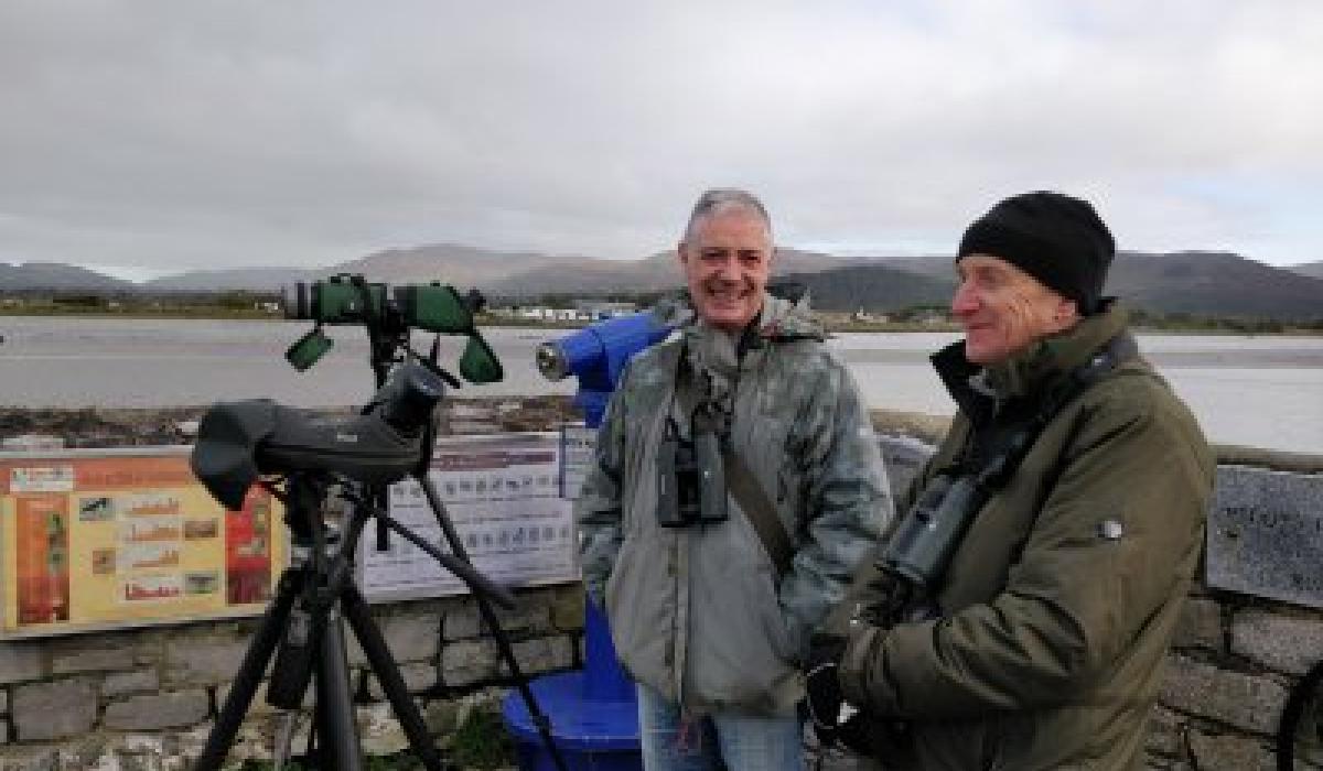 The unique birdwatching scene here in Dundalk - Louth Live