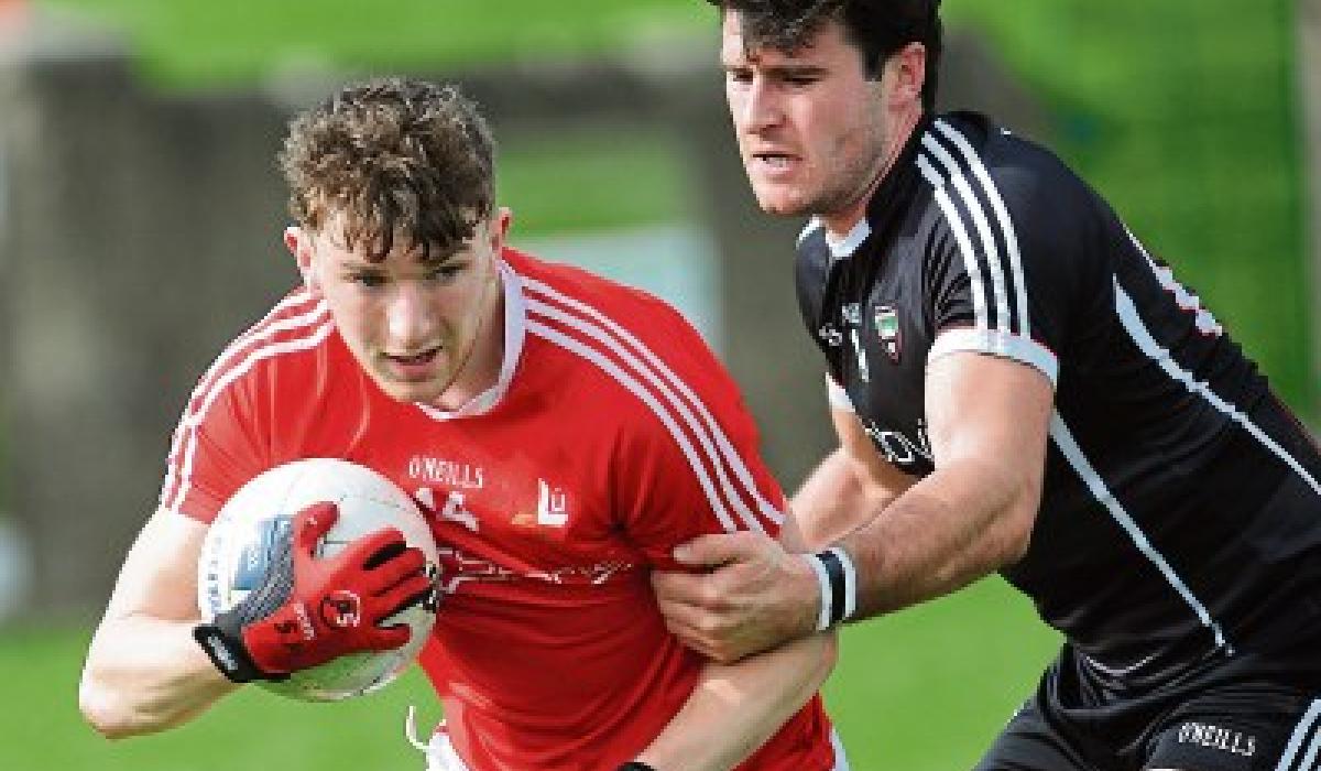 Louth seniors continue rise towards top - Louth Live