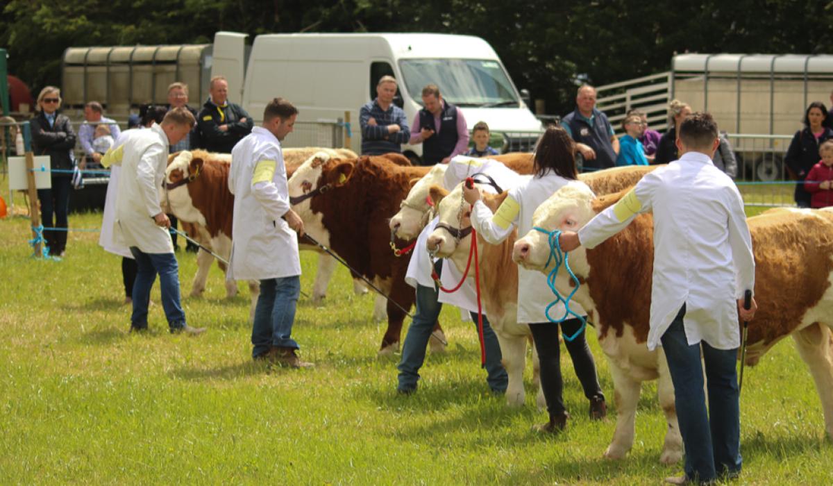 Louth Show set to return this year - Louth Live