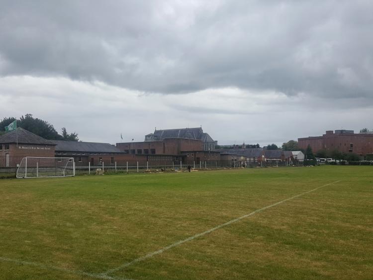 Long-standing trees cut down at Friary school in Dundalk - Dundalk Democrat