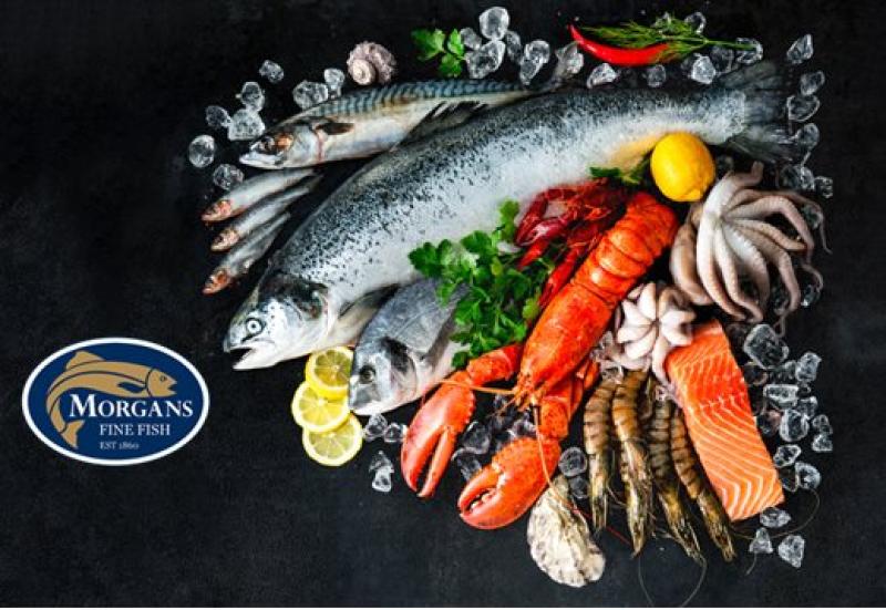 Louth business Morgans Fine Fish receive €221,250 in EU Funding - Louth ...