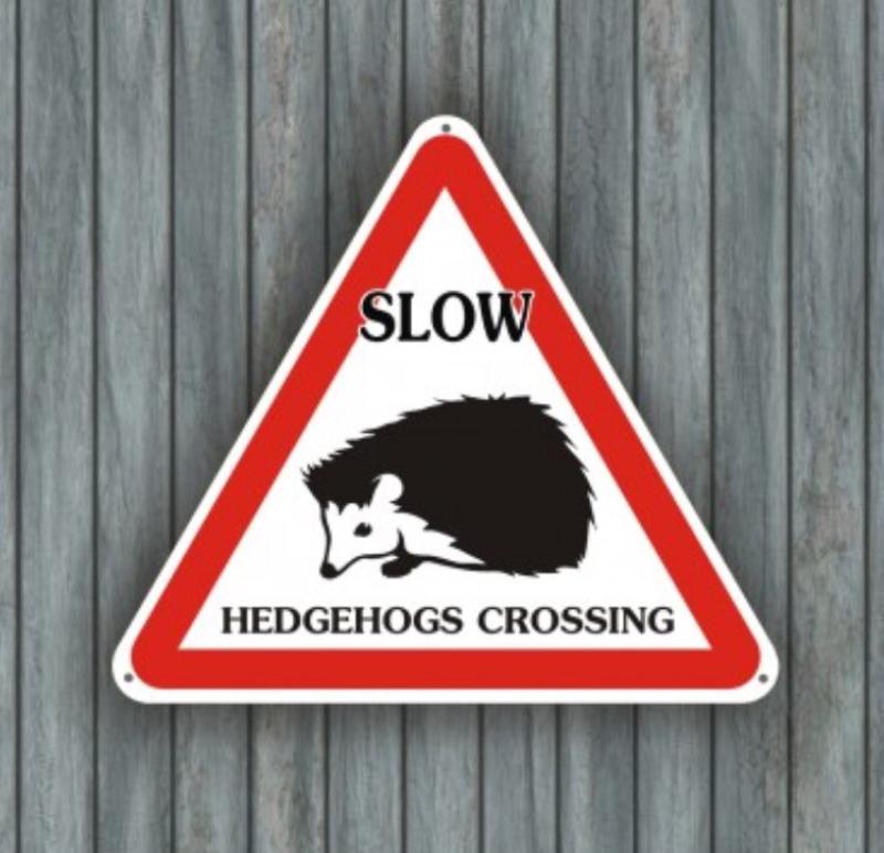 Call for signs to protect hedgehogs on busy Dundalk road - Louth Live