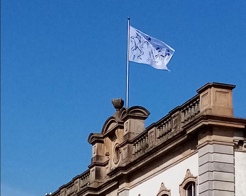 Dundalk flying the flag for art with 'Motion Marks' exhibition - Louth Live