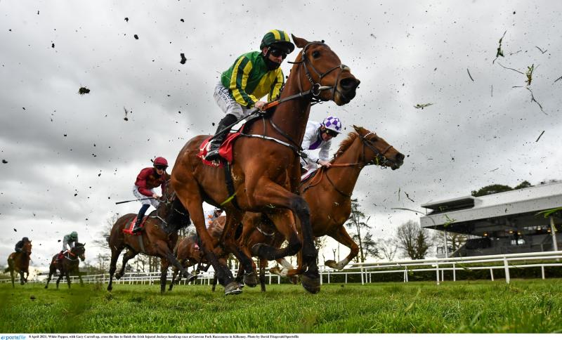 RACING: Top tips and analysis for this afternoon's racing at Gowran ...