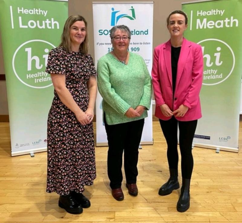 Louth County Council set to launch ‘Mindful Connect and Wellbeing ...