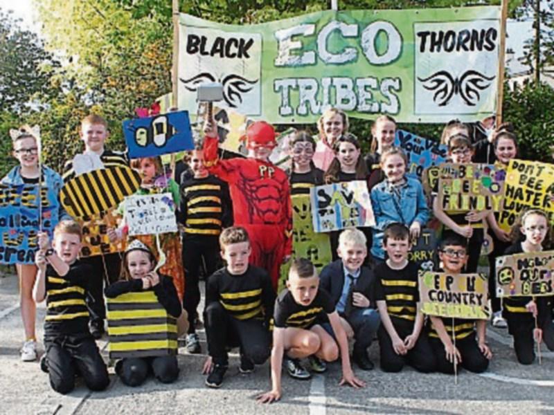 St Peter’s NS Dromiskin scoop gold and top marks - Louth Live