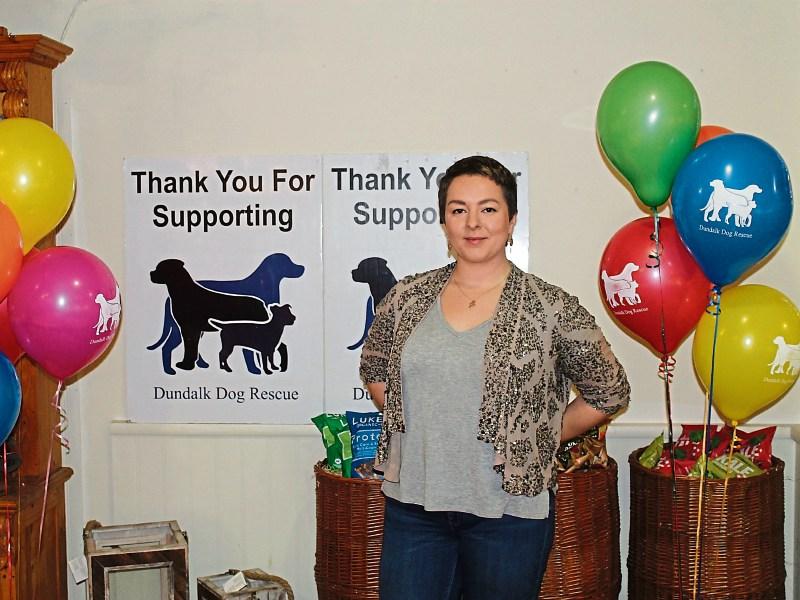 Dundalk Dog Rescue launch new centre design, but they need help - Louth ...