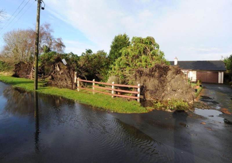 Storms cause huge damage and power cuts - Louth Live