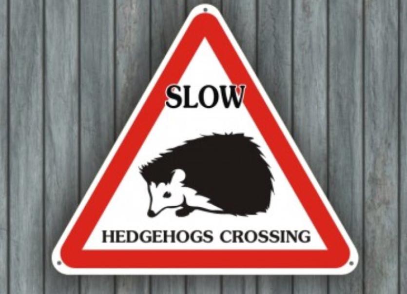 Call for signs to protect hedgehogs on busy Dundalk road - Dundalk Democrat