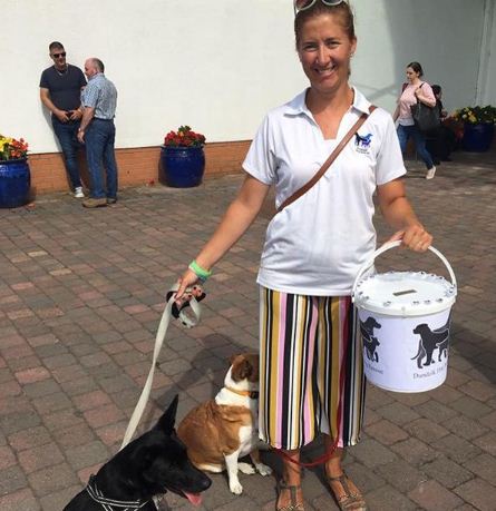 Dundalk Dog Rescue: "We need the local community to step up and help us ...