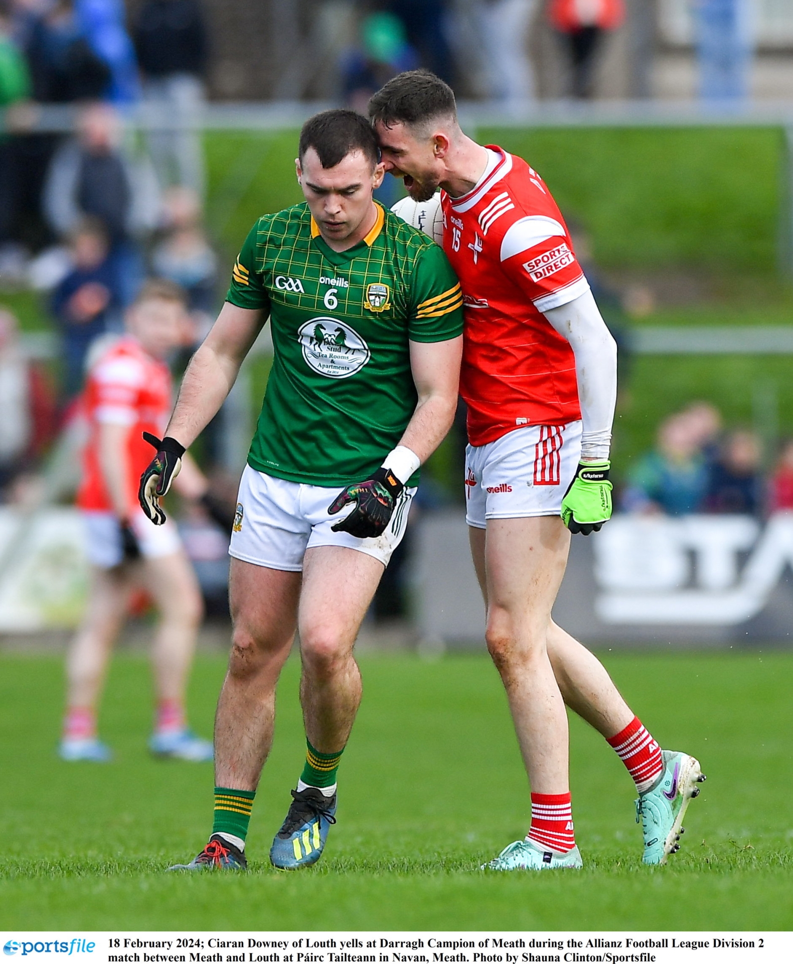 GALLERY: The best action shots from Louth's defeat to Meath - Page 1 of ...